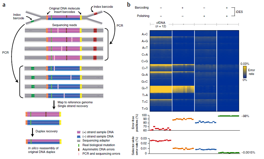 iDES促进 CAPP-Seq提高ctDNA灵敏性，促进其在临床中的应用
